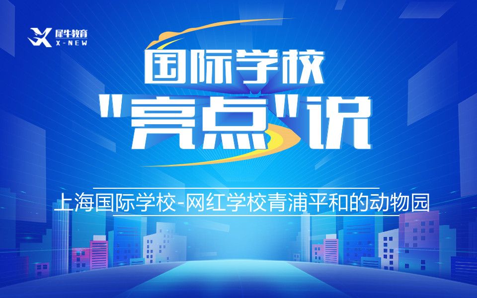 上海国际学校-网红学校青浦平和的动物园