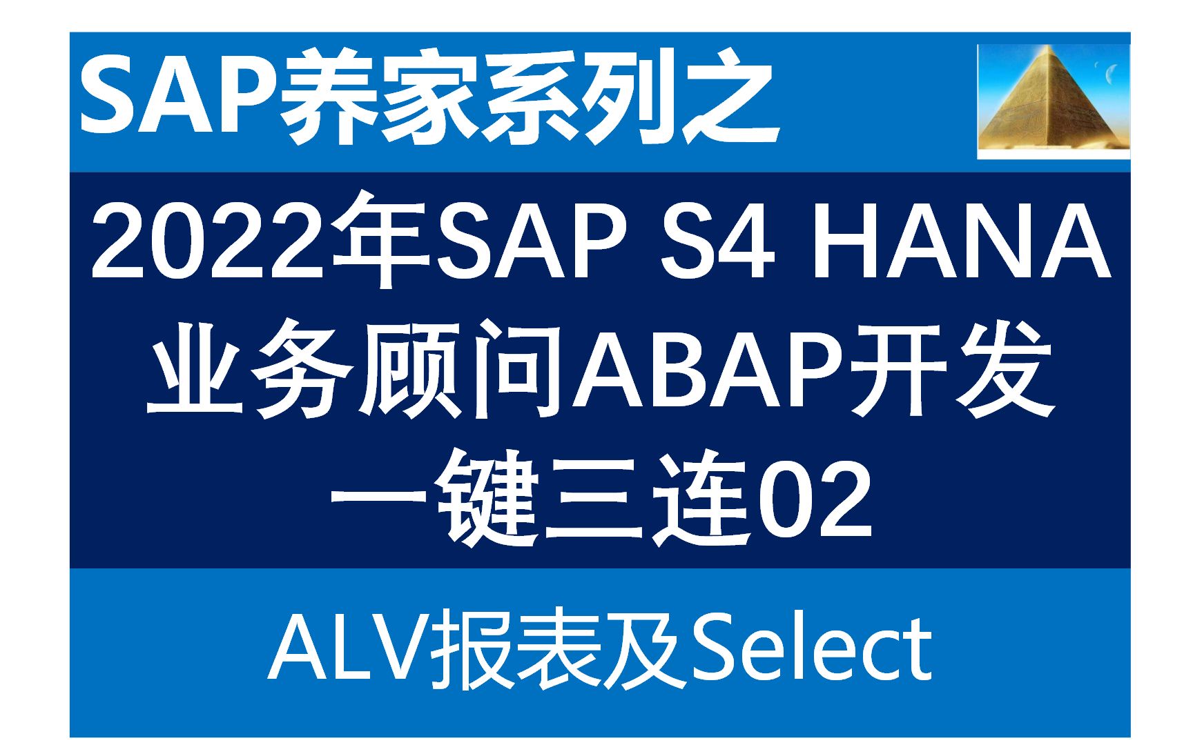 2022年S4HANA ABAP入门一键三连02 SAP FICO SAP S4 HANA ...