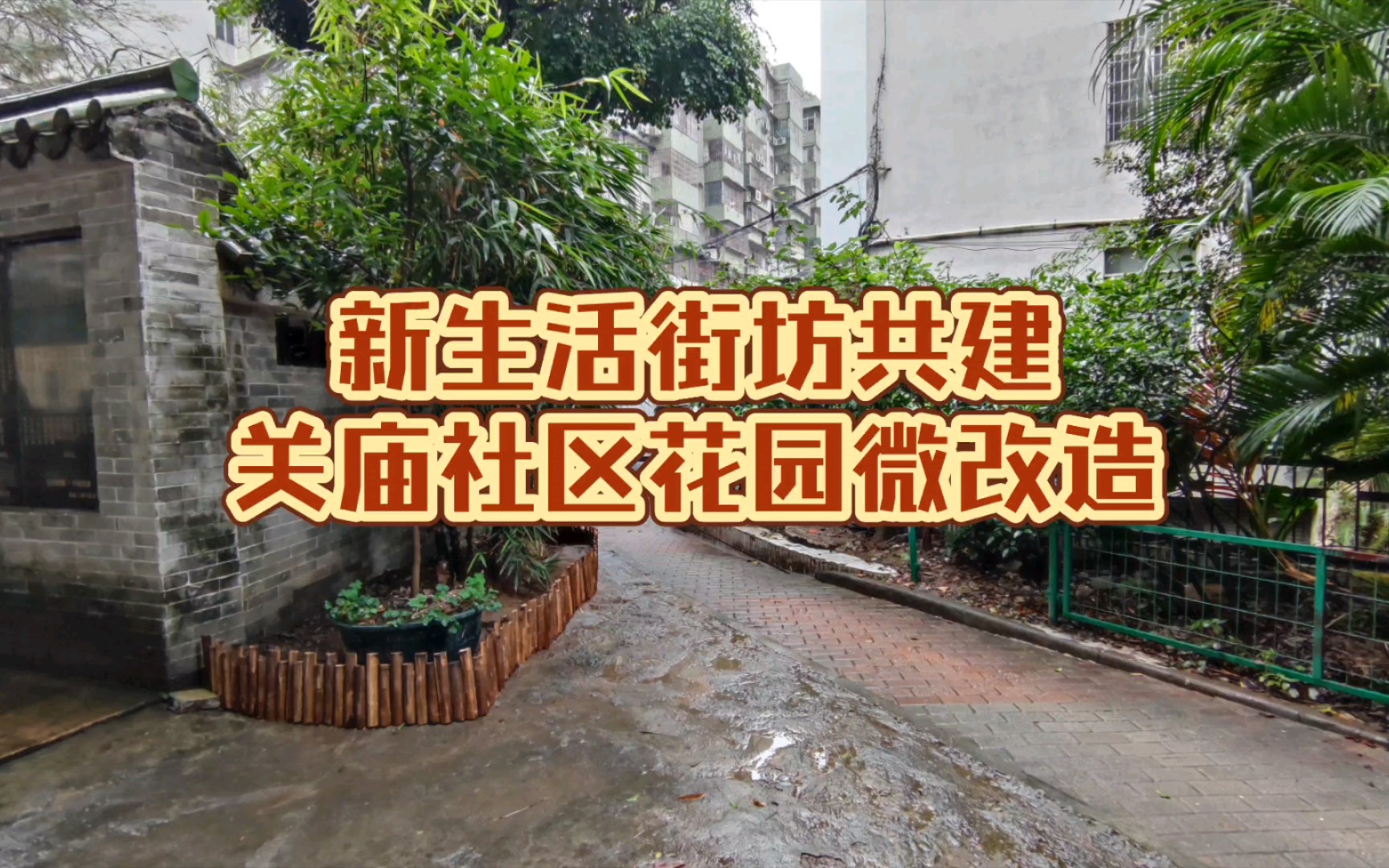 新生活街坊共建,关庙社区花园微改造,记录城市更新社区微改造,关庙小...