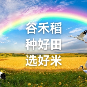 谷禾稻种好田选好米 
