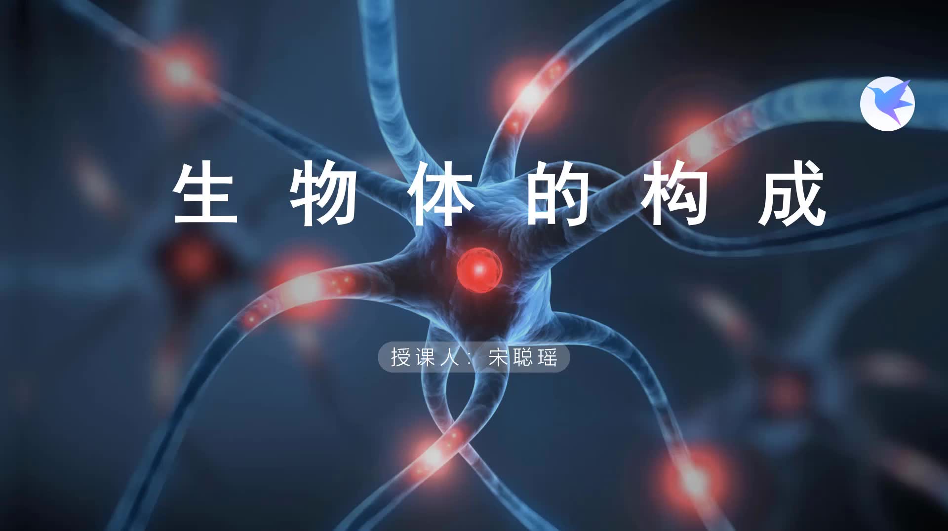 【复习课】初中生物——细胞怎样构成生物体/生物体的构成/生物体的...