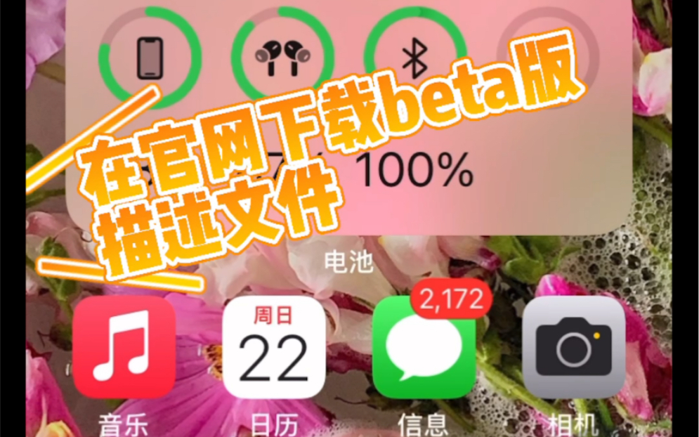 在苹果官网下载beta版描述文件「教程向 4K」