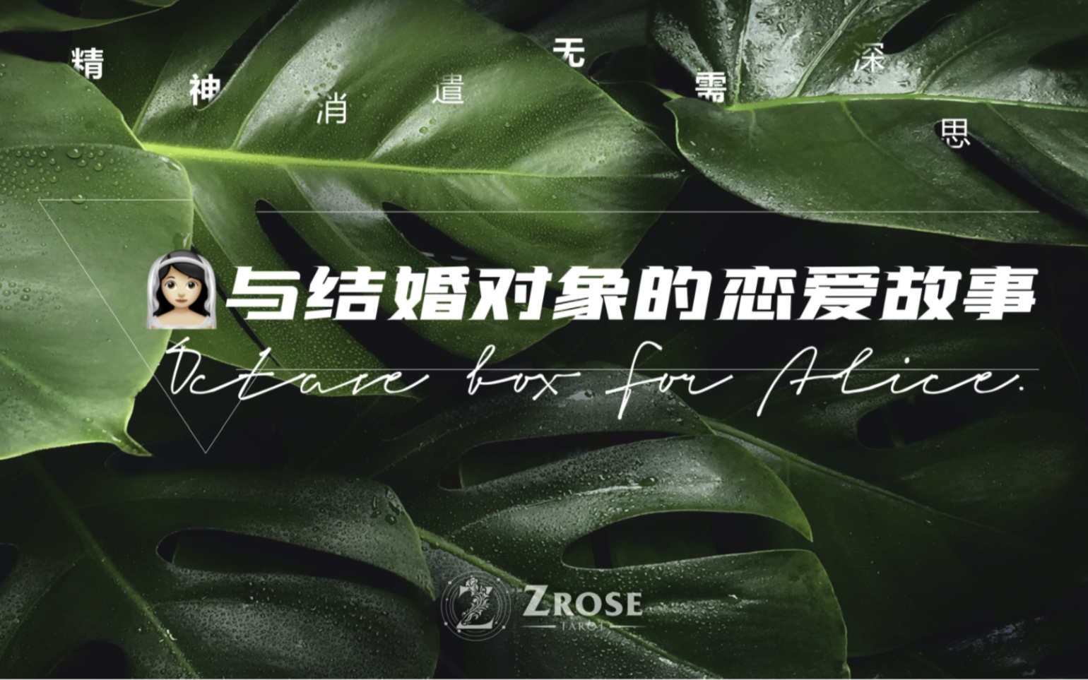 【佐玫瑰】与结婚对象的恋爱故事(大众占卜·精神消遣·无需深思)