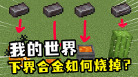 我的世界:下界合金会被烧掉吗?岩浆火焰都不行,仙人掌更牛一点