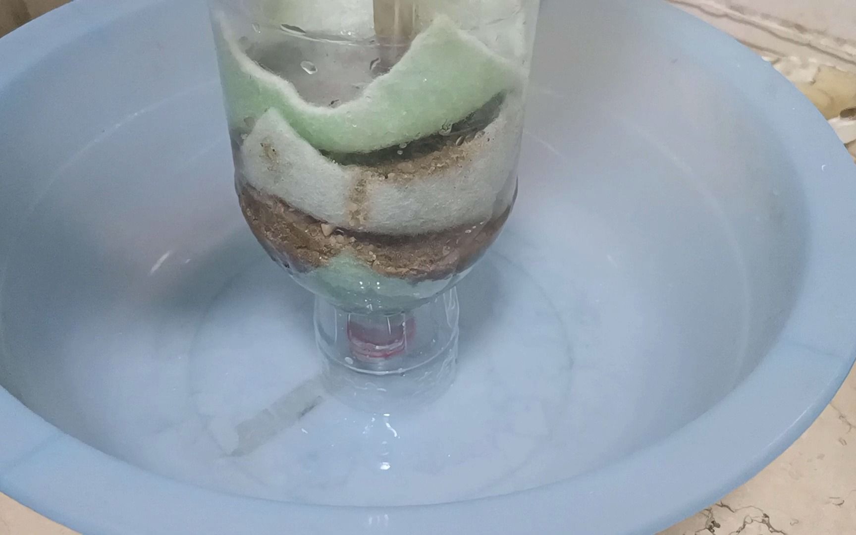 一年级暑假作业:做一个净化水的装置