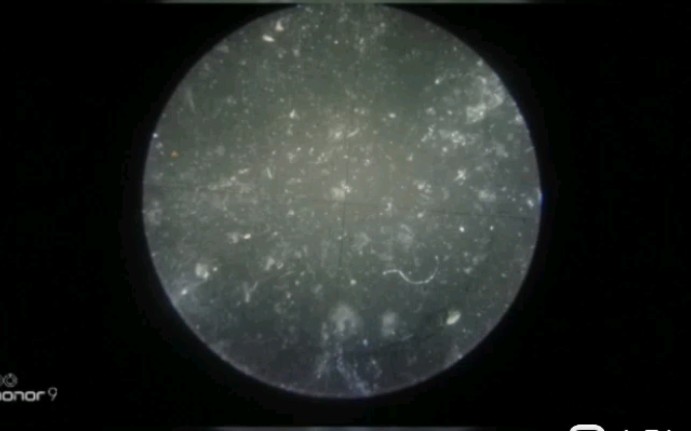 显微镜下的玻璃析晶,你想象中的星空