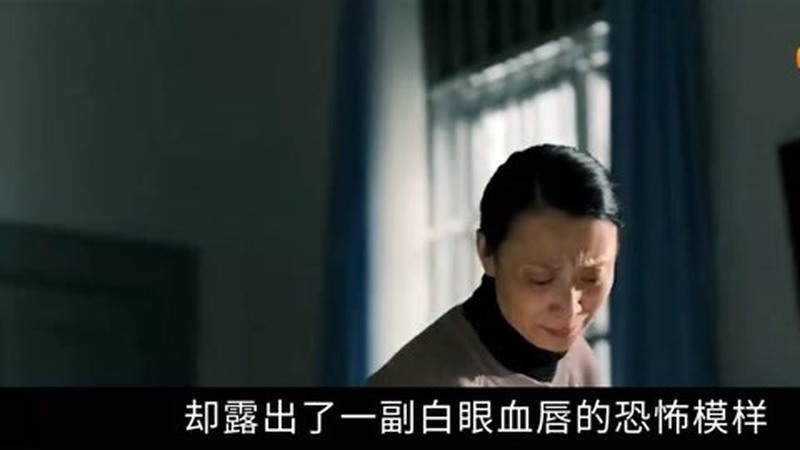 记忆迷宫(翻译翻译,什么叫悬疑大片)
