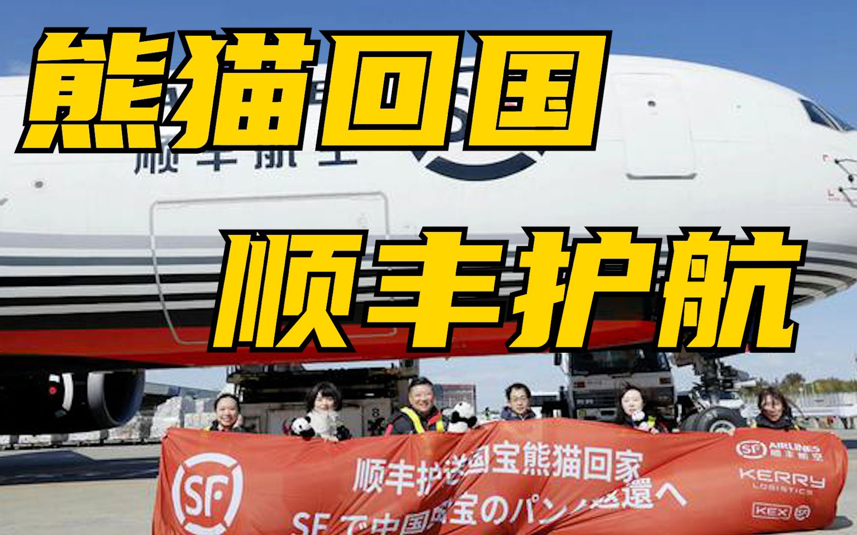 中国快递首次承运大熊猫,顺丰如何做到万无一失?