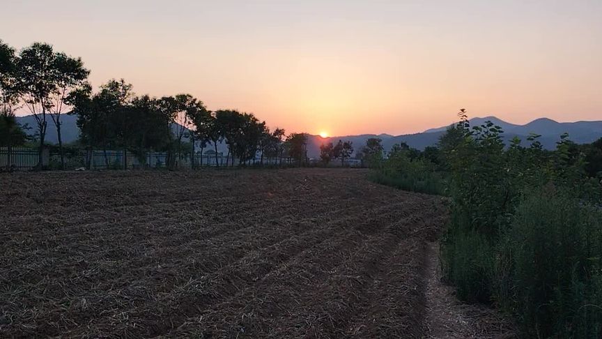 大海航行靠舵手 万物生长靠太阳 雨露滋润禾苗壮