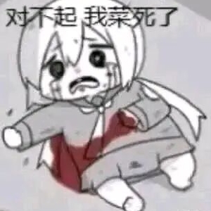 N晓苏 
