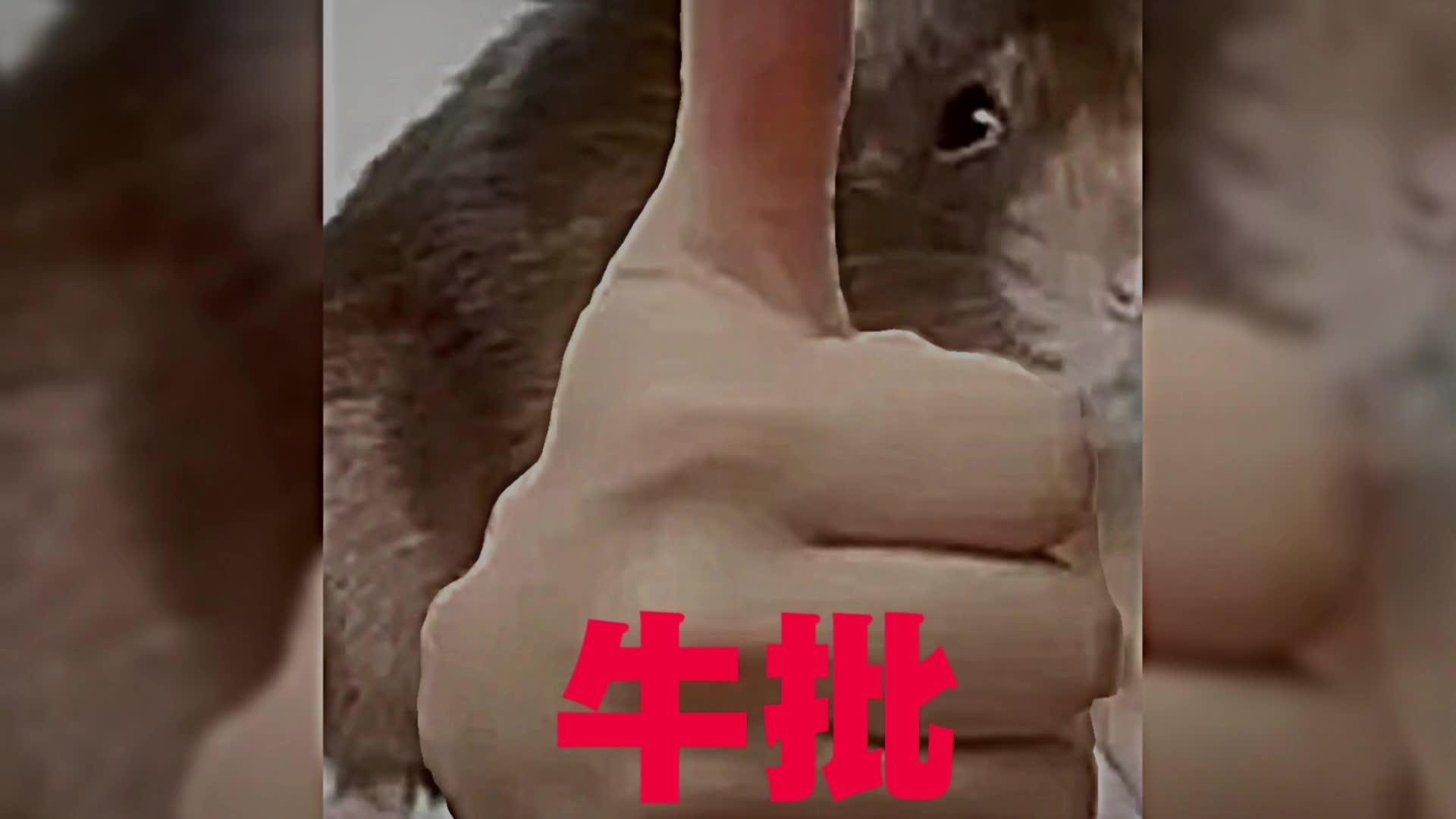 老师布置钉钉的逆天作业#娱乐 #欧拉数理化 #上热门 #火 @会火 @...