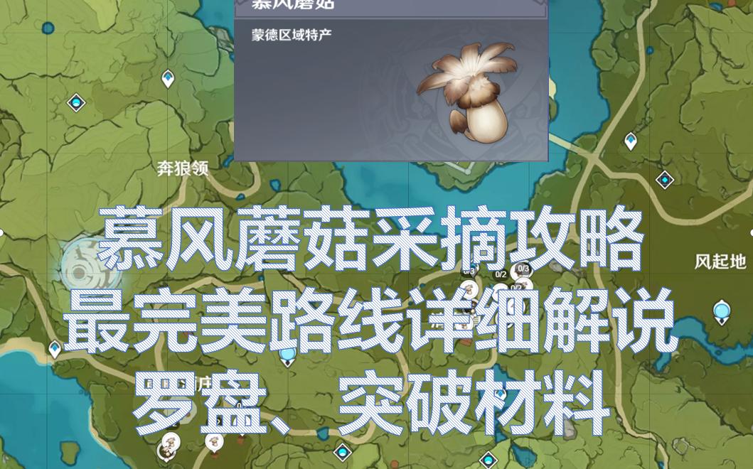 【原神高效率采集】慕风蘑菇篇,耗时两天找到最完美路线,保姆级领跑...