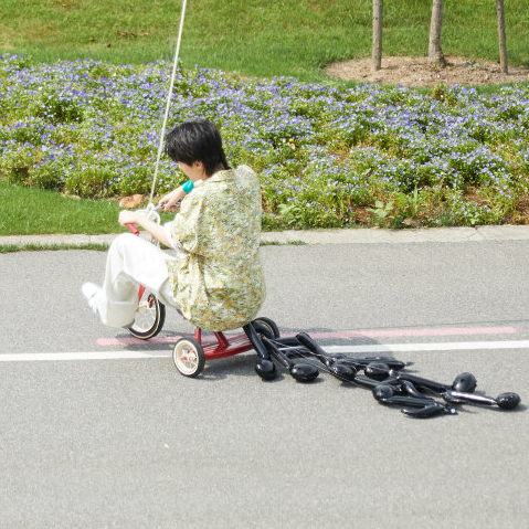 死死趴在岸上的王八点 