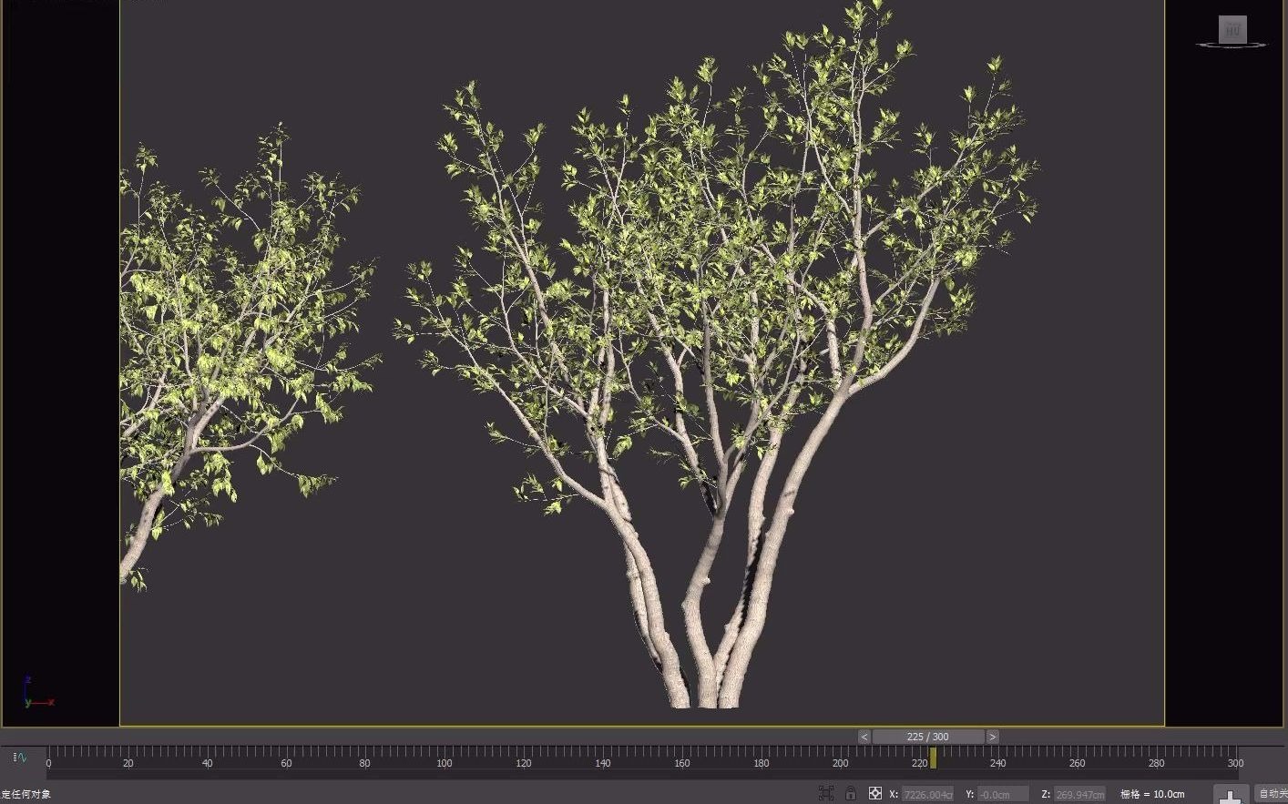 3dsmax无缝风场动画动态景观树