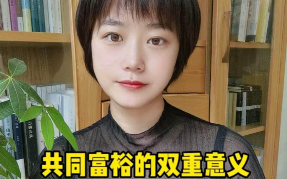 共同富裕的双重意义,经济学