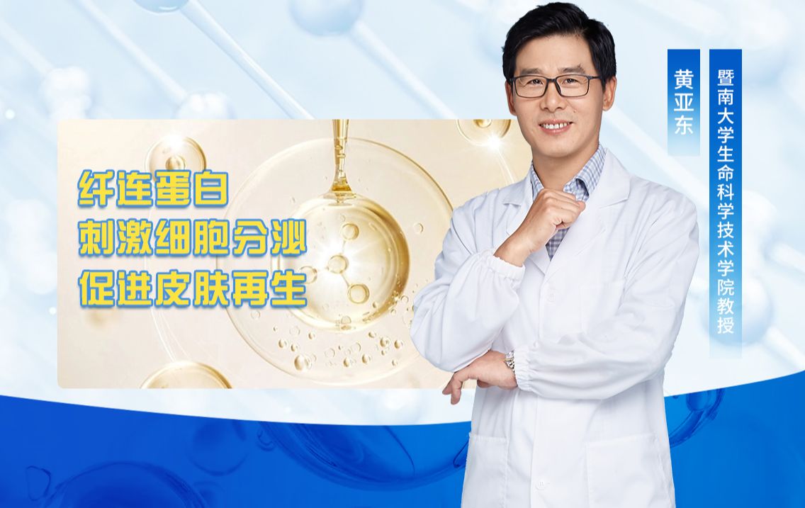 纤连蛋白