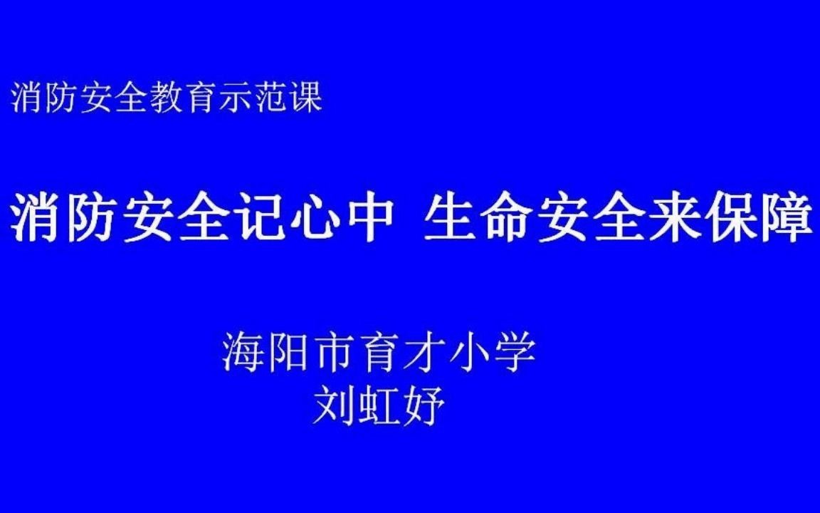 山东省海阳市育才小学 刘虹妤 《消防安全记心中,生命安全来保障》