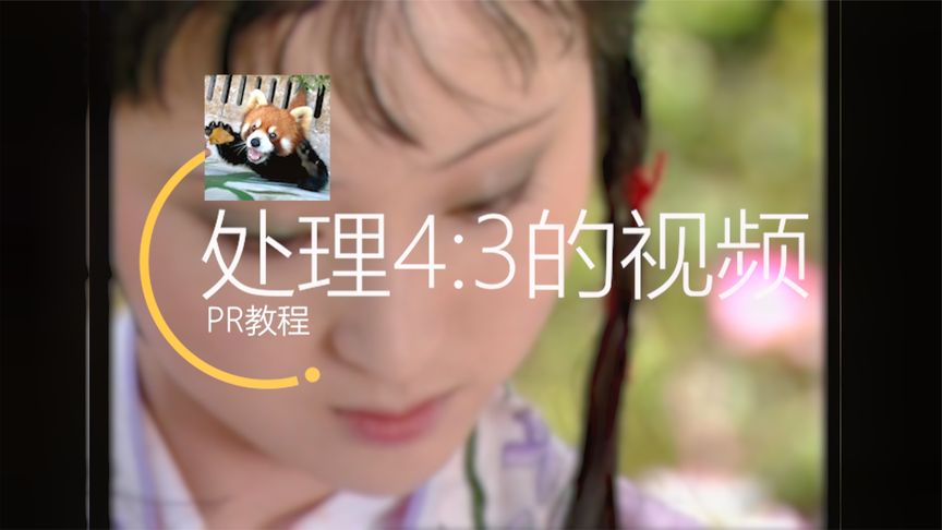 【PR教程】如何处理4:3的视频素材