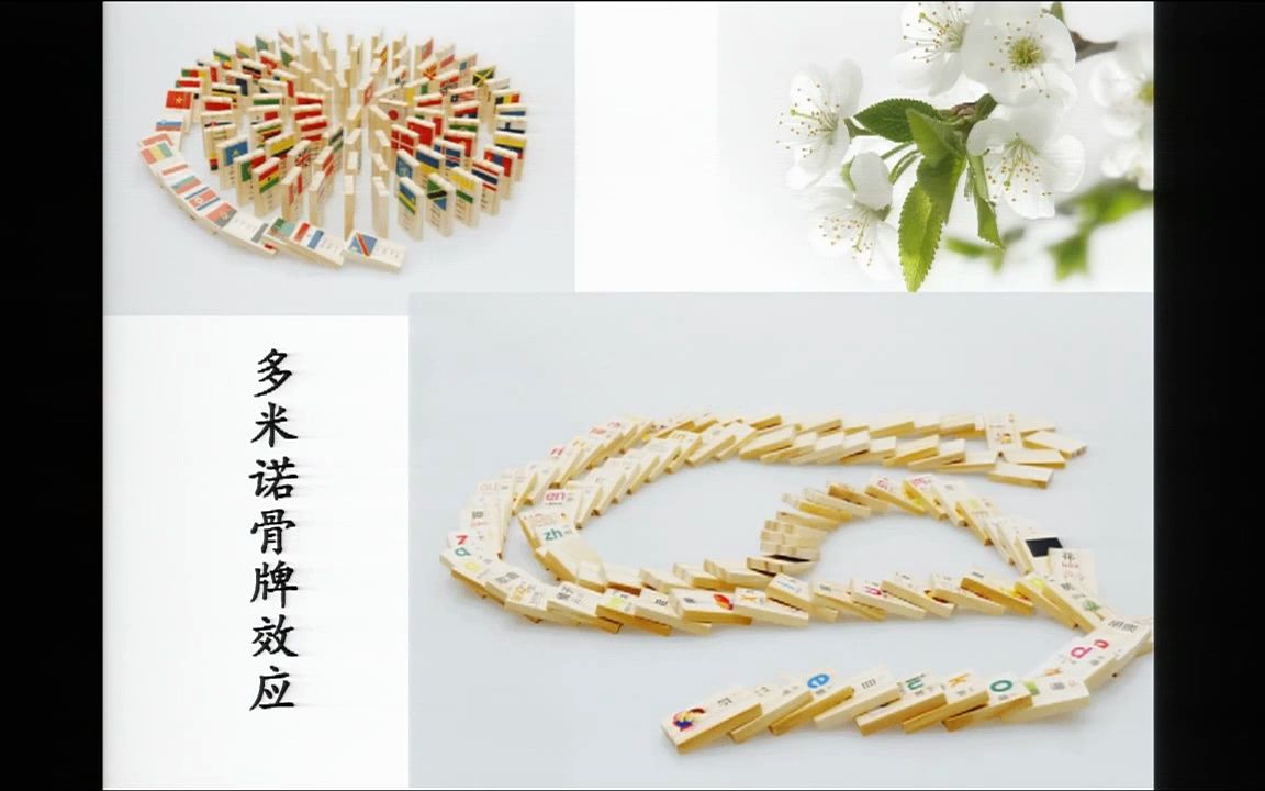 七下:《驿路梨花》(含课件教案) 名师优质公开课 教学实录 初中语文 部...