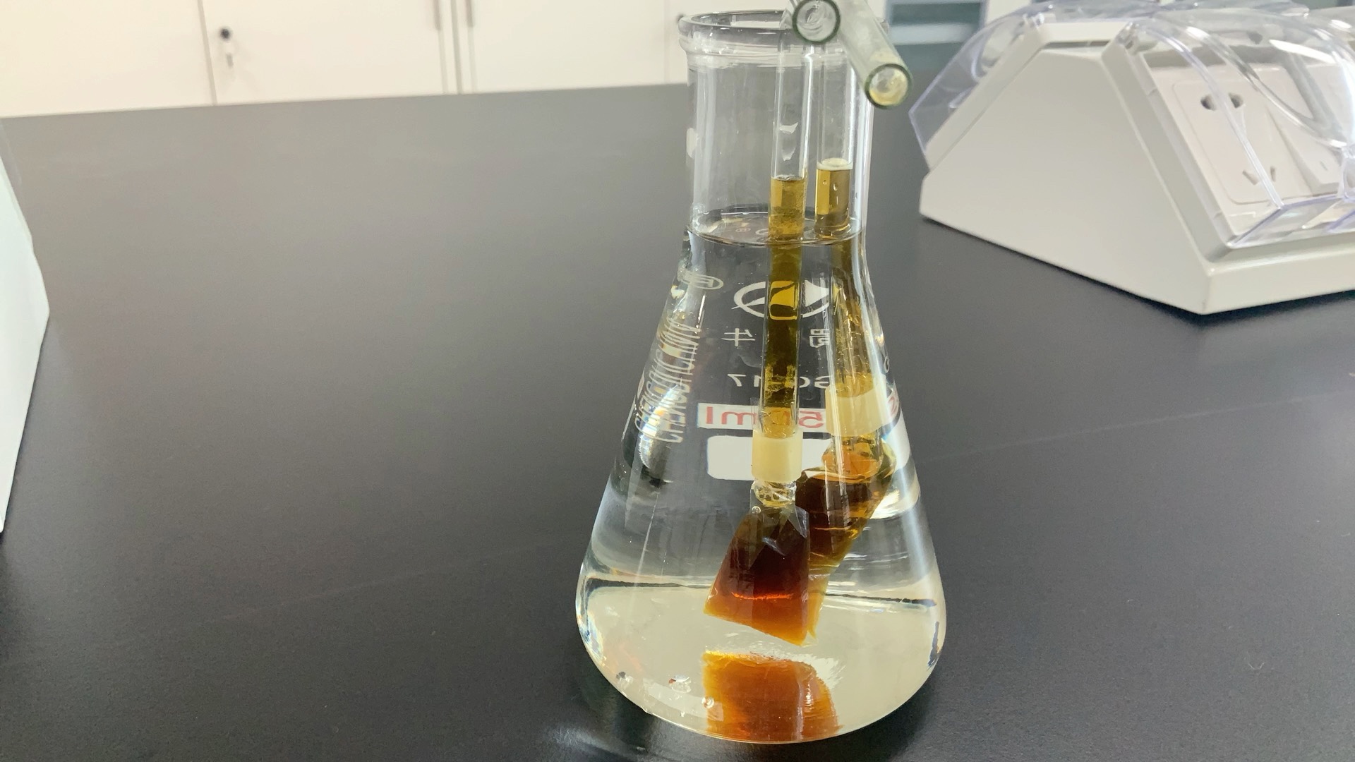 渗透压模拟实验 上海高中生物学实验模型 2021.10摄于实验室