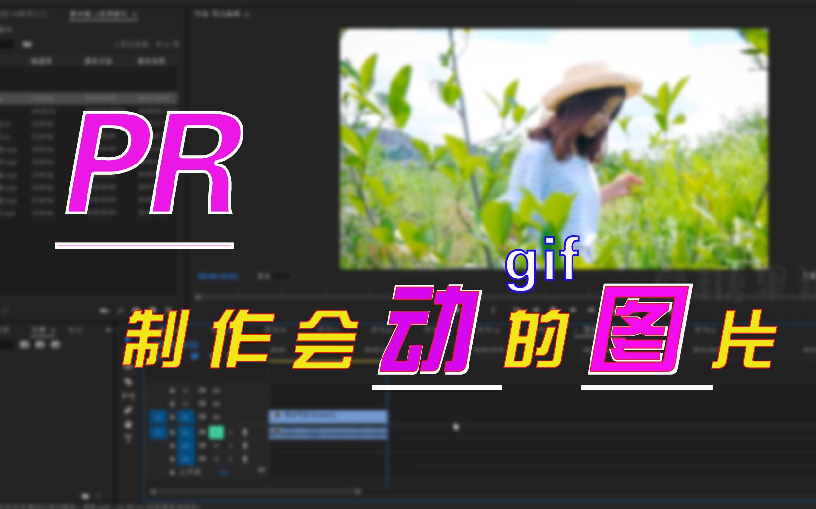 【PR教程】PR制作动态图片 这招要学会