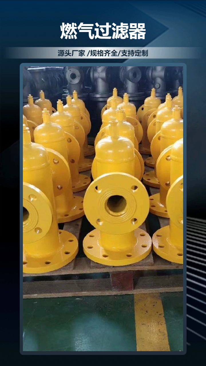 燃气过滤器应用于哪些领域 #过滤器 #海南过滤器 #海南过滤器厂家