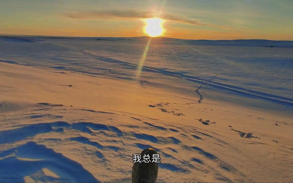新疆,大漠,雪景,夕阳