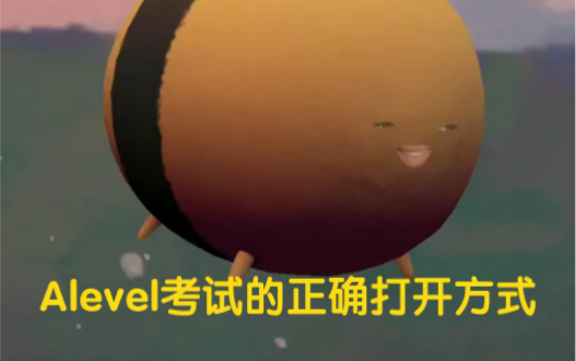 Alevel考试的正确打开方式哈哈