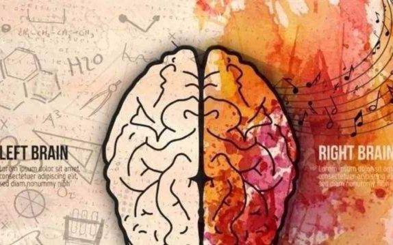 右脑的美妙—哈佛脑神经解剖学博士Dr. Jill Bolte Taylor自诉中风经历_...