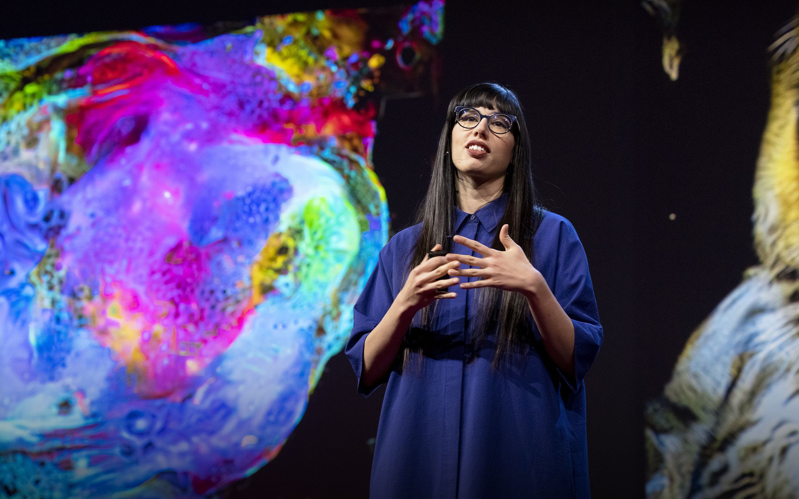 【TED演讲】AI 生成的生物帮助我们拓宽想象的边界