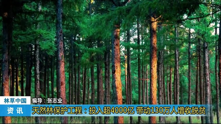 国家林业和草原局召开第二季度新闻通气会