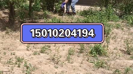 北京下水管道疏通师傅电话150.1020.4194北京疏通下水道,通厕所马桶...