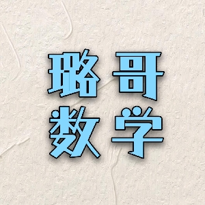 璐哥数学 