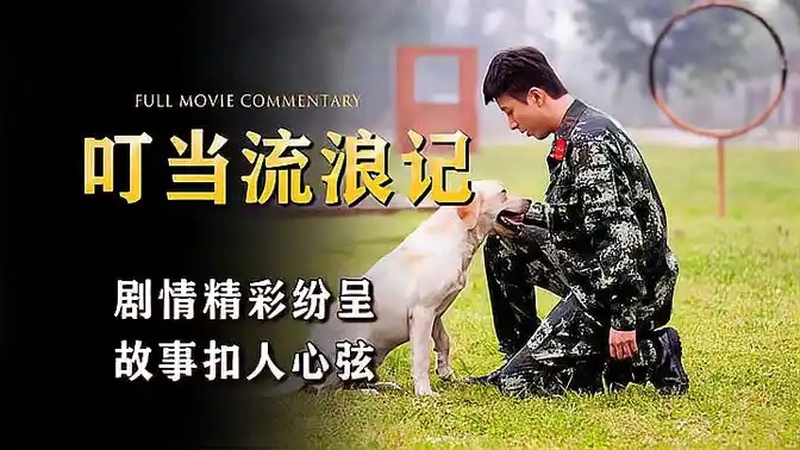 搜救犬沦为流浪狗,用尽一生去寻找主人,根据真实事件改编