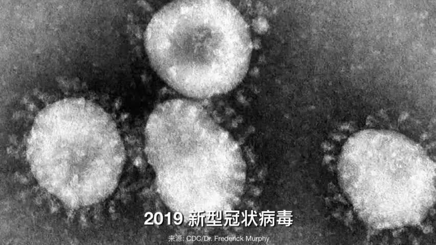 电子显微镜下的各种病毒的“彩照”,长得都很科幻啊!