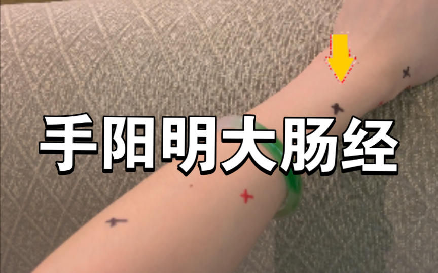 穴位定位|手阳明大肠经|自用!欢迎指正
