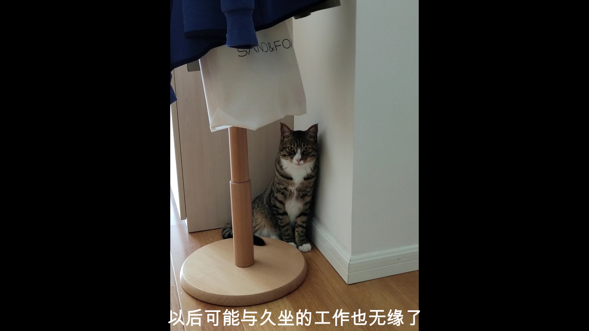 从工作了五年之久的单位辞职了