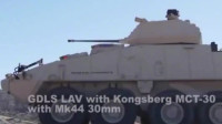 MK44巨蝮二式链炮的强大威力,专门打击战壕及建筑物内有生力量