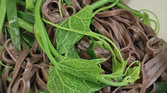 今天下午吃个佛手瓜苗煮荞麦面还挺不错的