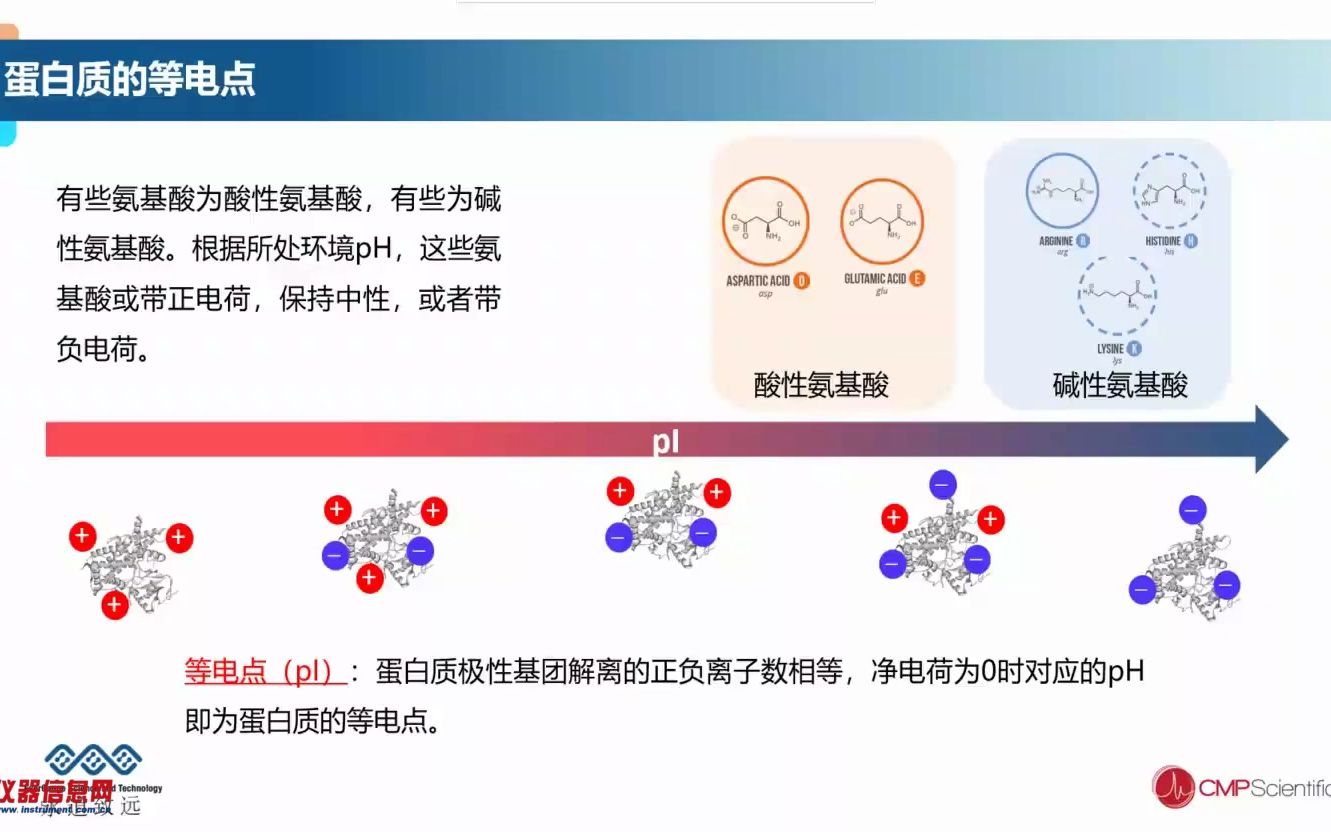 CIEF-MS联用技术对抗体药物电荷异质性在线分析