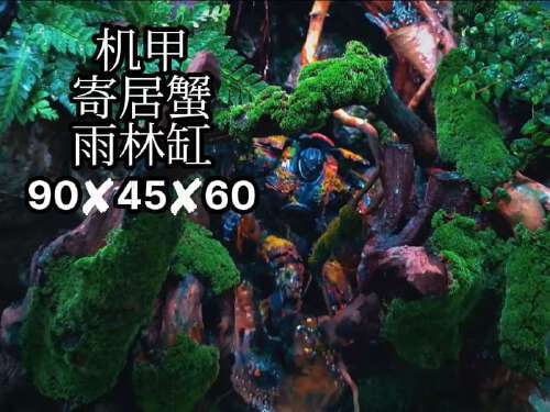 定制雨林缸制作视频环太平洋机甲造景