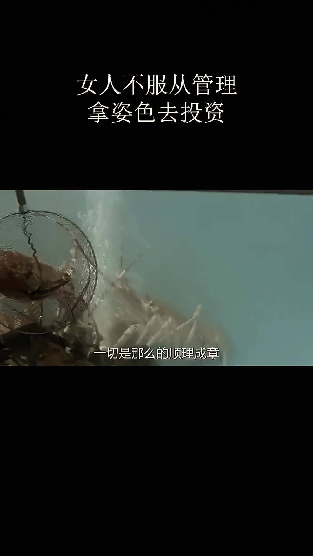 女人不服从管理拿姿色去投资