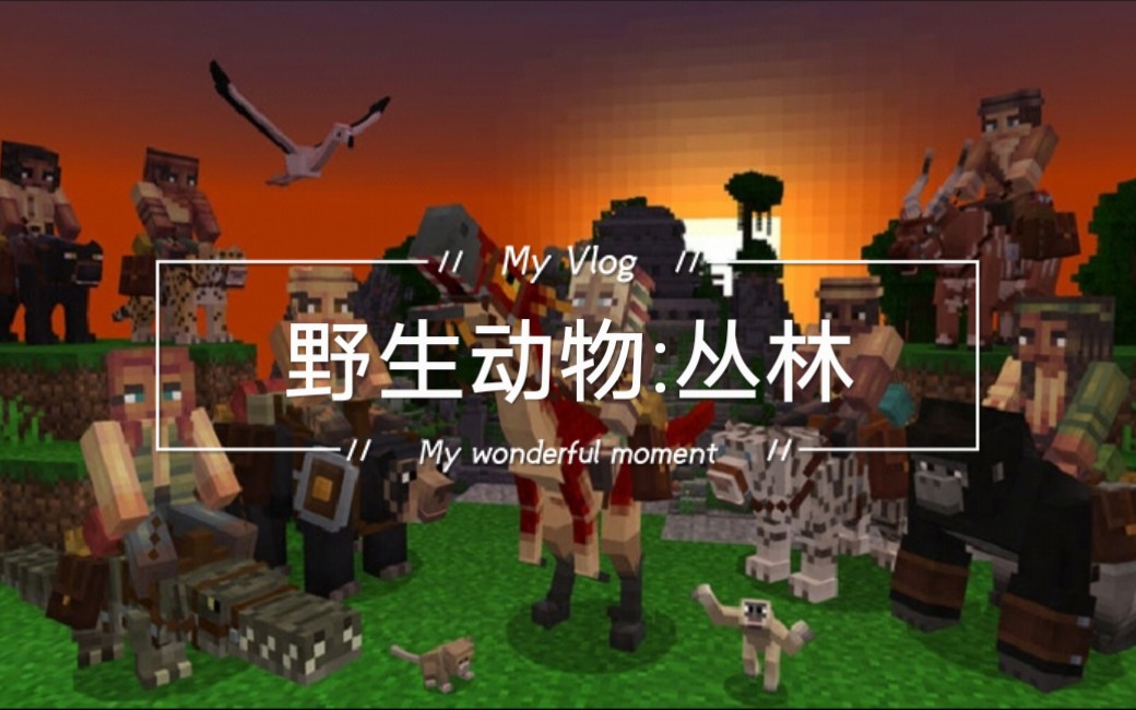 我的世界手机版最好的动物模组,超棒自定义动作