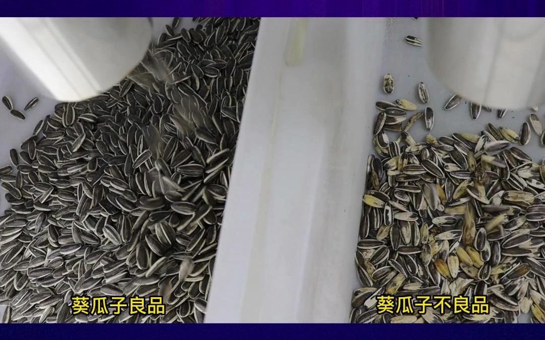 ...葵花籽分选案例 西瓜籽 南瓜子仁 剔除葵花籽原料中的白头粒、小花...