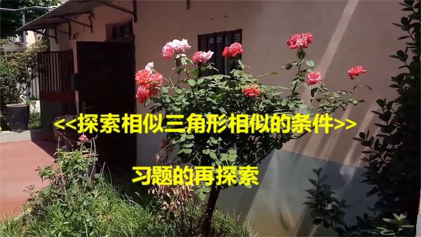 《探索相似三角形相似的条件》习题 初三《图形的相似》