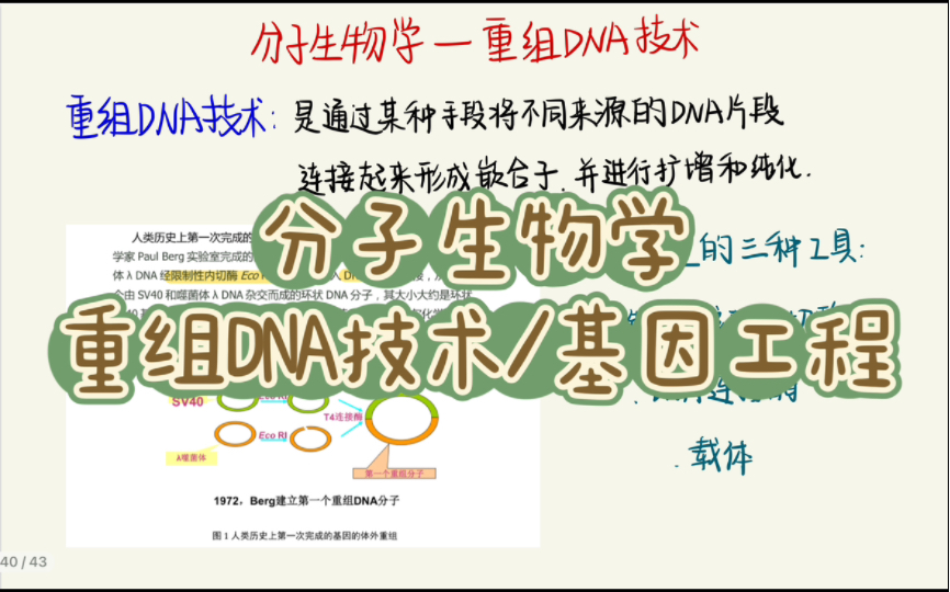 分子生物学-重组DNA技术/基因工程