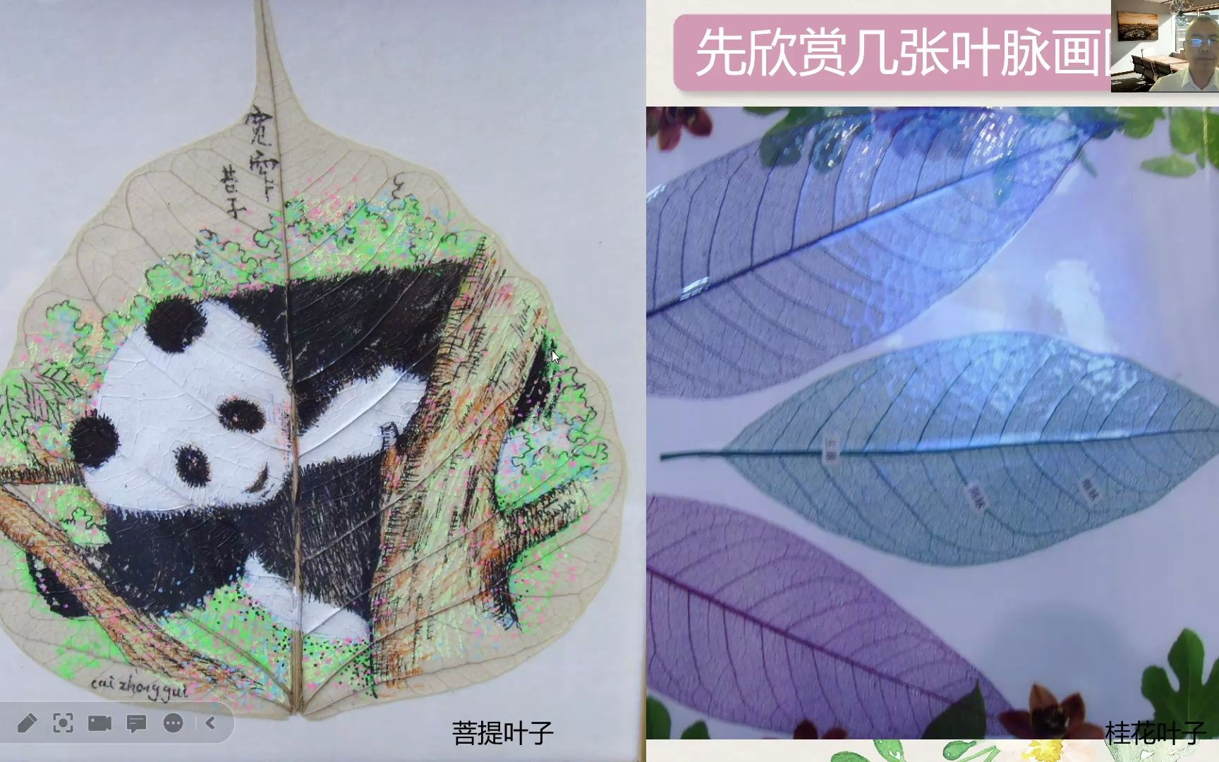 叶脉画制作的n种方法