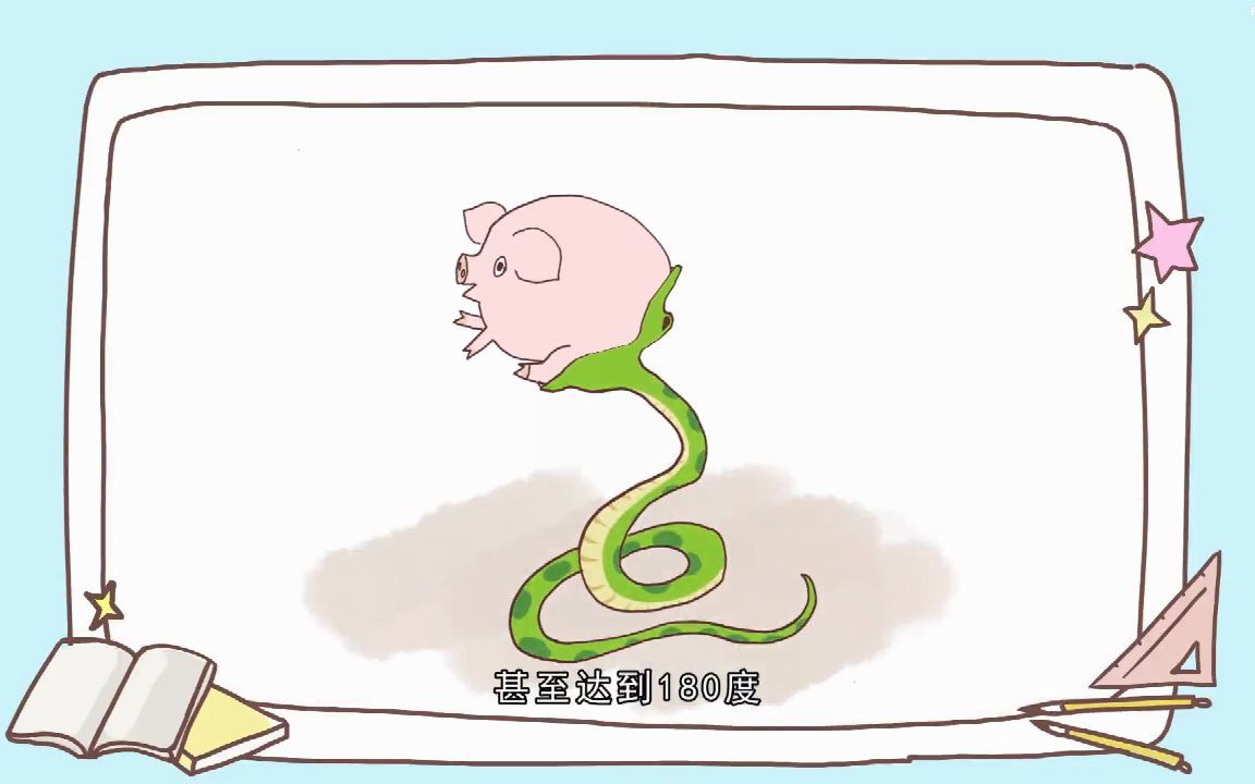 中华汉字演变学习《巴》微视频