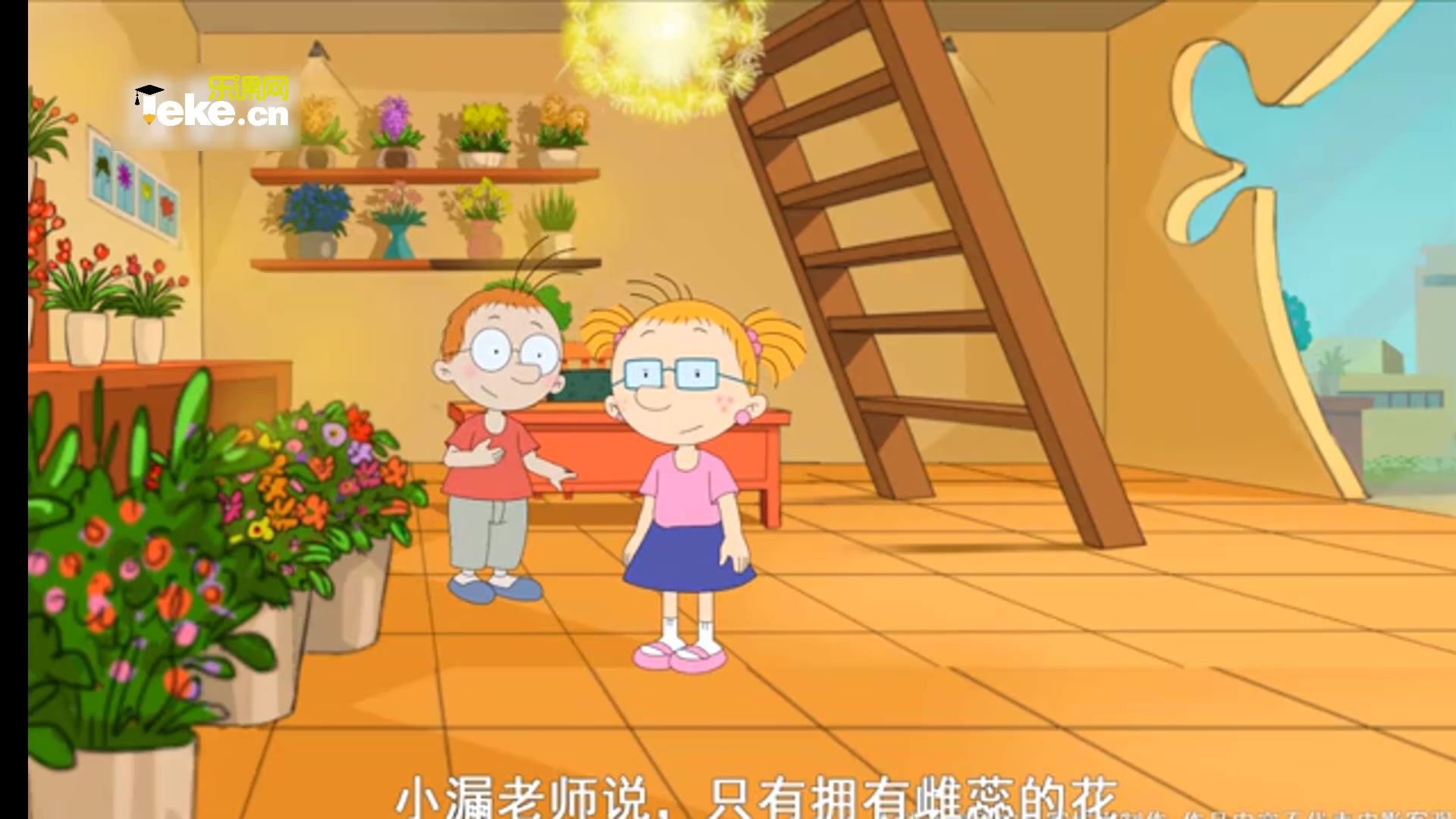 浓缩课程—花、果实和种子