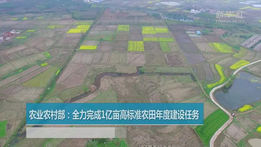 农业农村部:全力完成1亿亩高标准农田年度建设任务